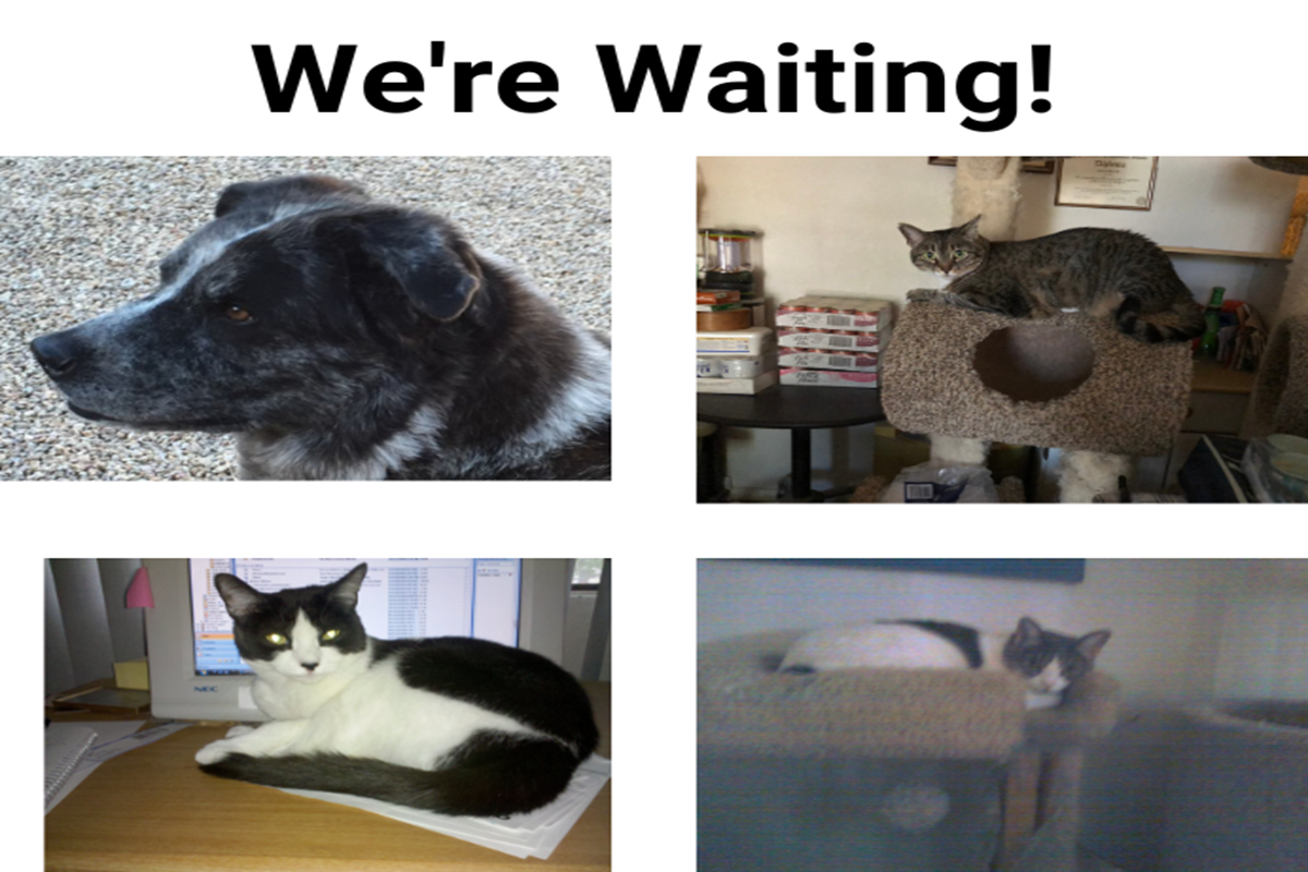 Usman Bashir Data Analyst Portfolio